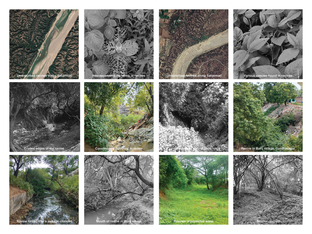 Ravine Ribbons: A tale of the river family - Productive Urbanism