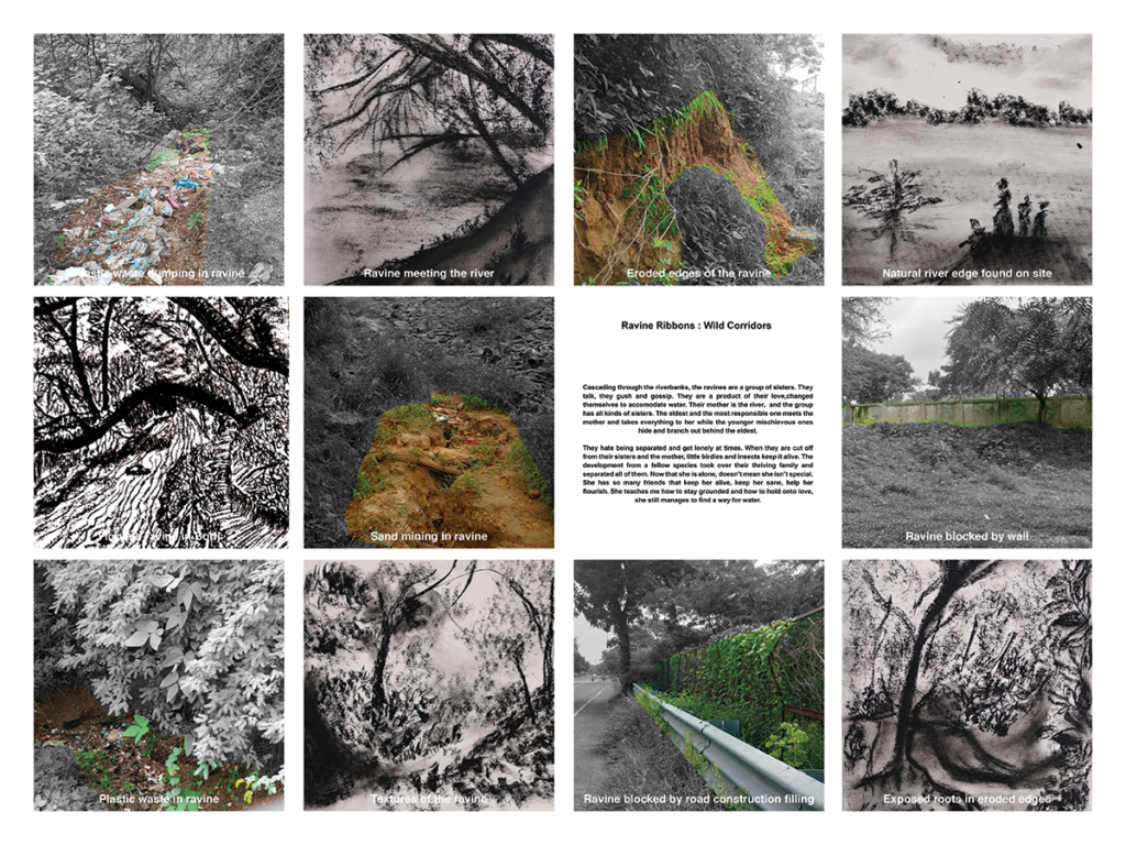 Ravine Ribbons: A tale of the river family - Productive Urbanism